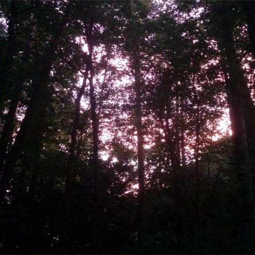 Stream Stargazer by vivi mouse | Listen online for free on SoundCloud