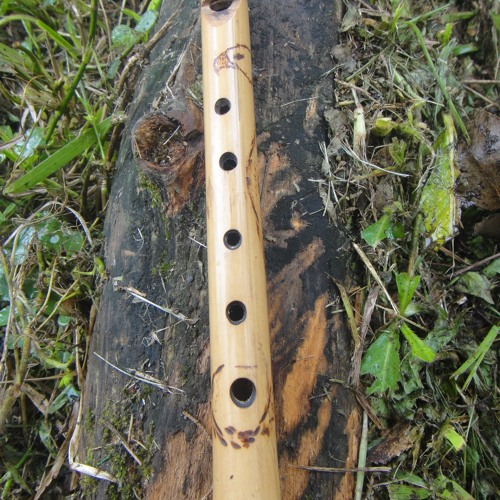 Stream Tlapitzali Sample 1 by Sonorígenes | Listen online for free on ...