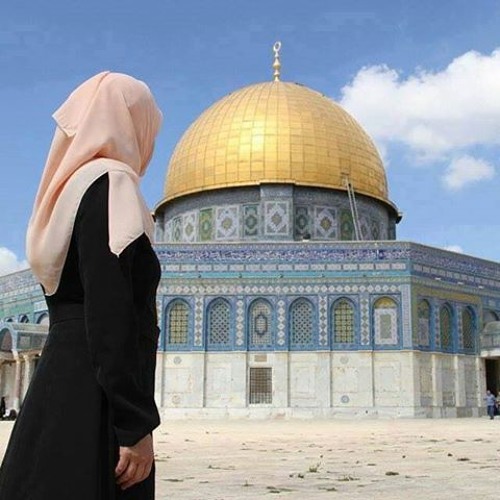 Stream كليب ازرعوني في بلادي فيلم حلم الزيتون by Rahma Mahmoud | Listen ...