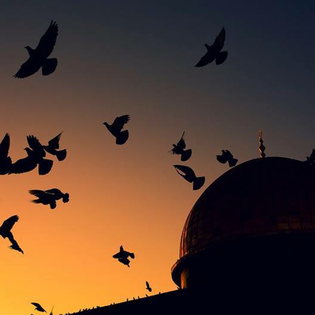 Stream يا مسلم كبر ونهض