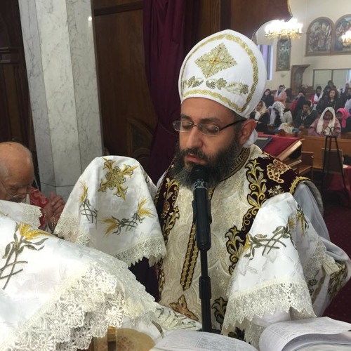 Stream Fr. Arsanious saleeb- Holy Liturgy-Coptic/En/Ar- St marks ...