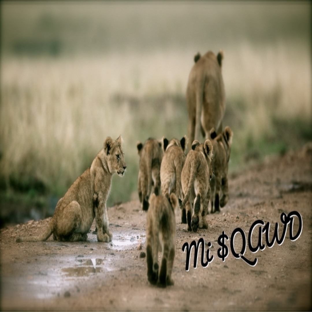 Stream Berg - Mi $QAWD (Prod. Ricandthadeus) by Keep It Movin' | Listen ...