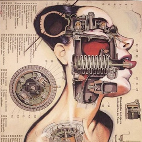 How Do You Make Yourself A Body Without Organs BwO Sanctioned Suicide