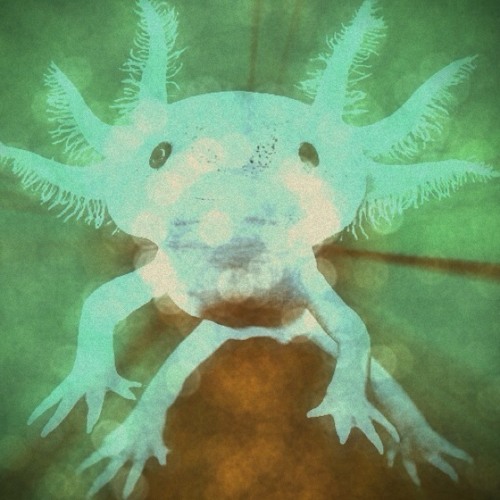 Stream VoyageSphere Stabs by Axolotl Reptrax | Listen online for free ...