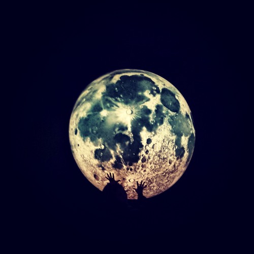 Stream Tone Down Your Failure by Alexandra Wendt | Listen online for ...