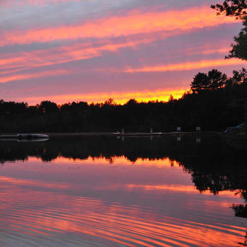 Stream Take Me Home, Country Roads- Grant Papastefan & Derek Harms by ...