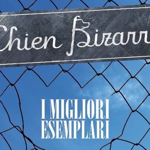 Stream 2. LE CHIEN BIZARRE by CHIEN BIZARRE | Listen online for free on ...