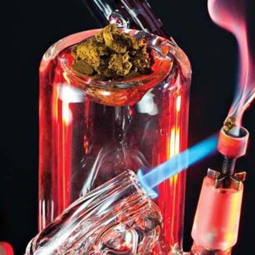 Stream WOLFPACK (420 SHREK) by 420 SHREKT | Listen online for free on ...