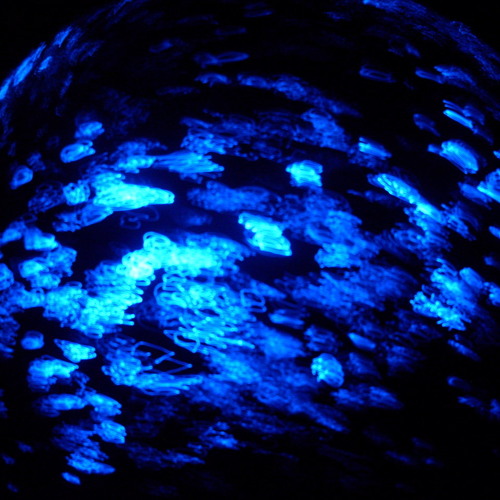 Stream fuzzy blue lights by j | Listen online for free on SoundCloud