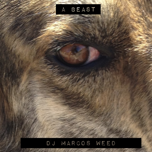Stream A Beast by DJ Marcos Weed | Listen online for free on SoundCloud
