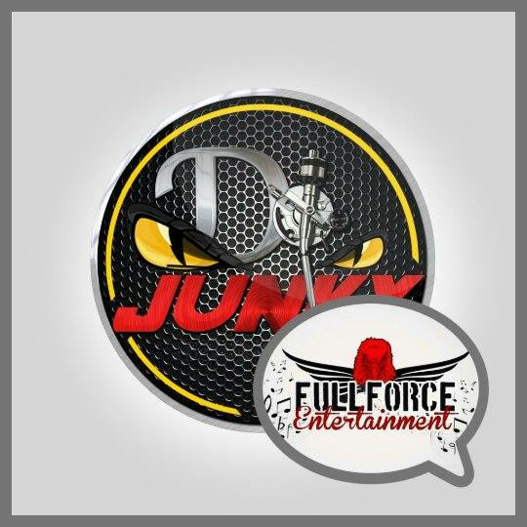Stream DJJUNKY - DANCE & DISCO MIX VOL.2 by DJ Junky | Listen online ...
