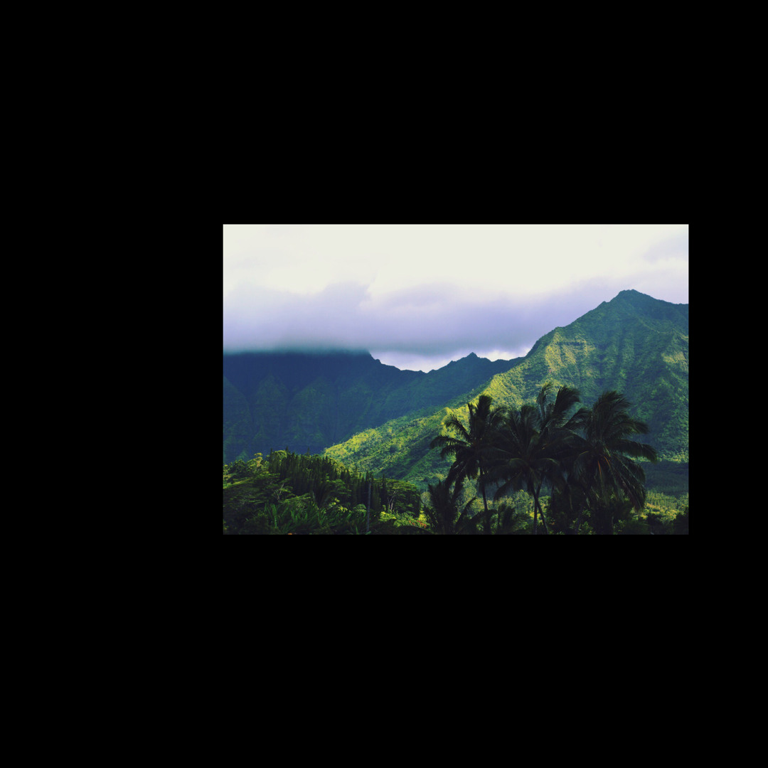 Stream RachyBaby | Listen to Travis Scott ft lil Duke- on my vibe remix ...