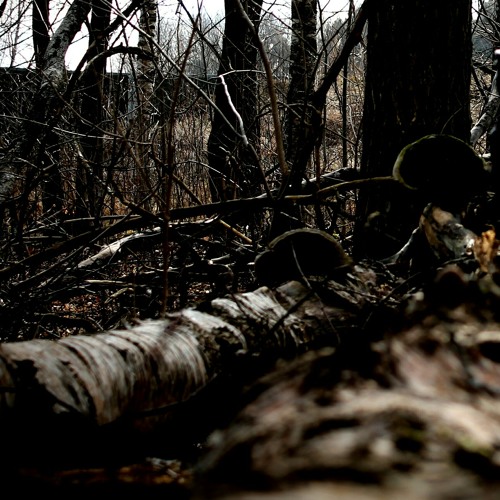 Stream Disturbing Presence by Kenny Andersson | Listen online for free ...