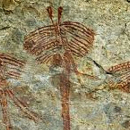 Stream Michoro Ya Kihistoria Kupotea Tanzania by Tubonge Tz | Listen ...