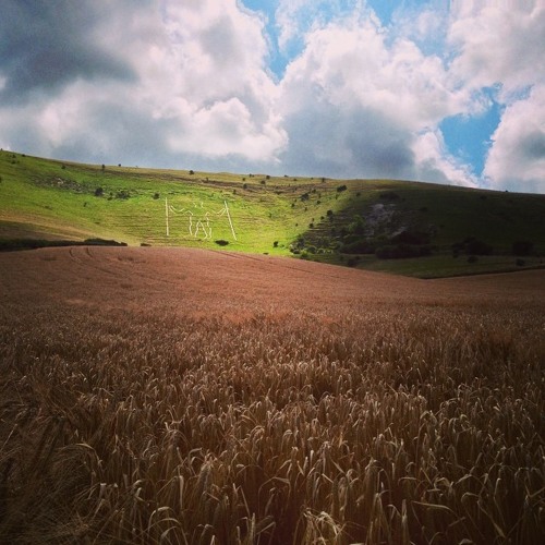 Stream titch | Listen to damh the bard playlist online for free on ...