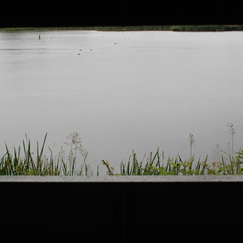 Stream Drift #1: Denaby Ings by The Navigators | Listen online for free ...