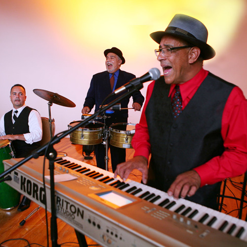 Stream Delite Entertainment | Listen to Ray Olan playlist online for ...