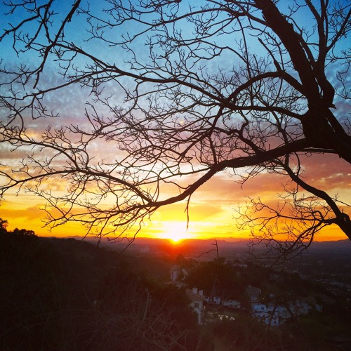 Stream Just For Now (feat. Caitlin Notey) by Mac Sinise | Listen online ...