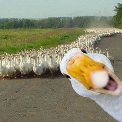 Stream Goose Pimples by Edwardsounds | Listen online for free on SoundCloud