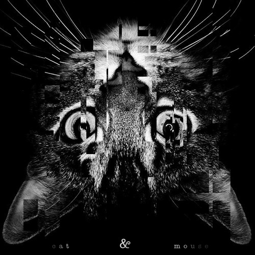 Stream Cat & Mouse by Matthew Rodway | Listen online for free on SoundCloud