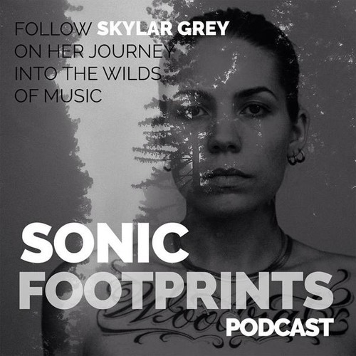 Stream Sonic Footprints With Skylar Grey - Episode 1: Finding Your ...