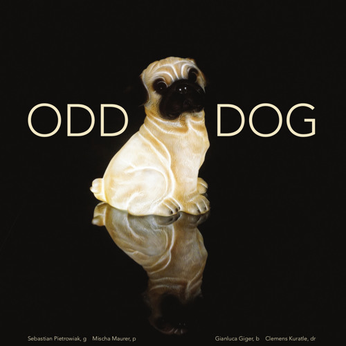 Stream Sebastian Pietrowiak | Listen to ODD DOG playlist online for ...