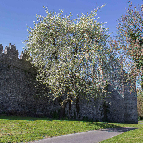 Stream The Main Street – Swords Heritage Trail by Abarta Heritage ...