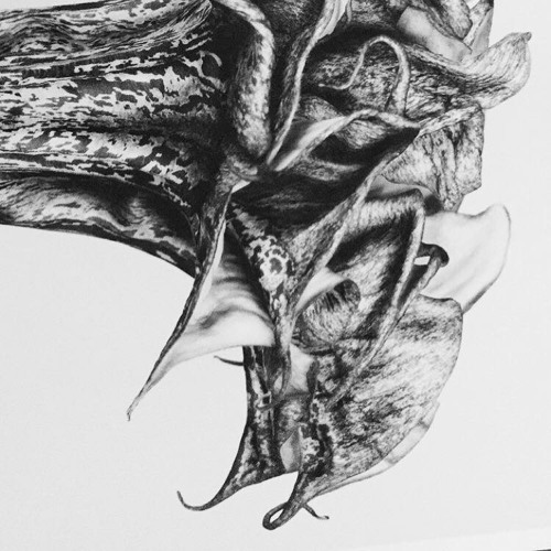 Stream Deep Forest Bloom (Prod. by Two Castles) by Blvck Spirit ...