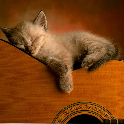 Stream I'd Rather Go Blind - Beth Hart Joe Bonamassa - PERSONAL COVER ...