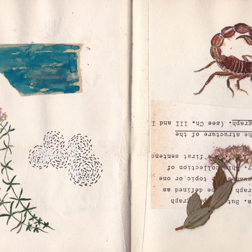 Stream Elena Ursache | Listen to rain in the forest playlist online for ...