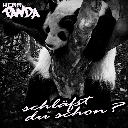 Stream Schläfst Du Schon *FREE DOWNLOAD* by Herr Panda | Listen online ...