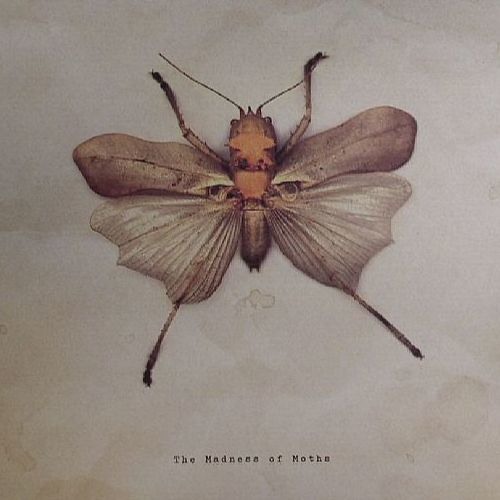 Stream The Madness Of Moths By Sky Captain Listen Online For Free On