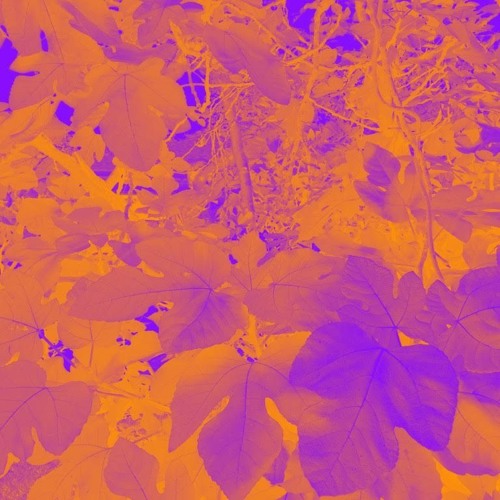 Stream Friday Nite- bladee blackkray and ana caprix (remix) by digital ...