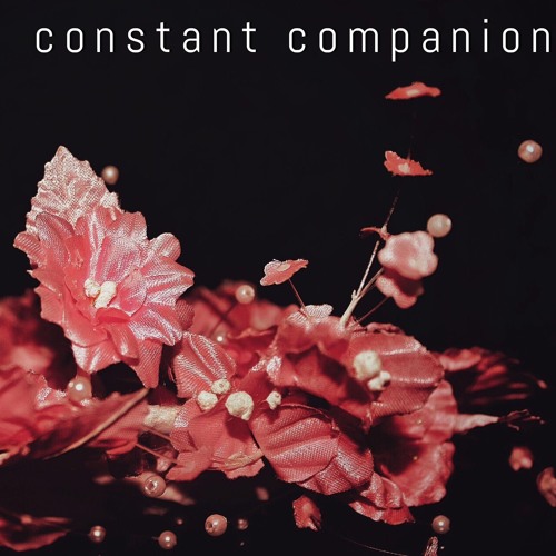 Stream Constant Companion | Listen to In Transit playlist online for ...