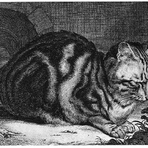 Stream My Cat Jeoffrey by Tim Risher | Listen online for free on SoundCloud