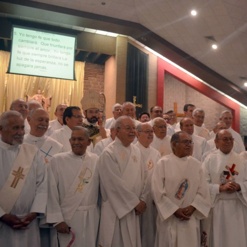 Stream Deacons Day Homily, 9-12-2015 by Diocese of Brownsville | Listen ...