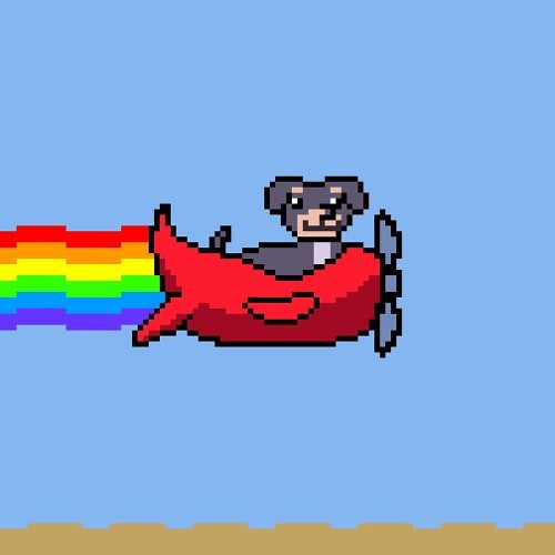 Nyan Dog And Nyan Cat