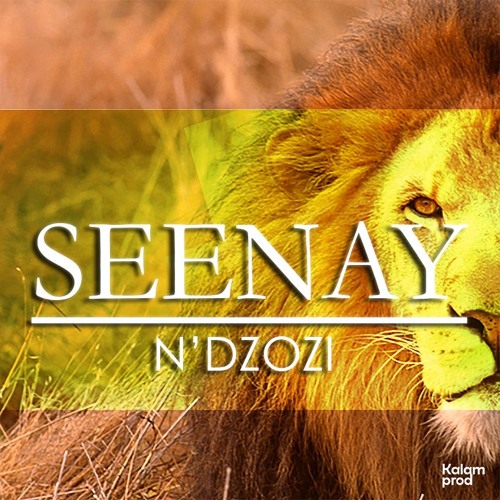 Stream Seenay - Ndzozi by Kalam | Listen online for free on SoundCloud