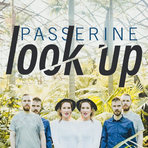 Stream PASSERINE - Look Up by PASSERINE | Listen online for free on ...