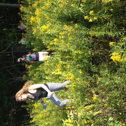 Stream Camera Shutter by Astrid Hunter | Listen online for free on ...