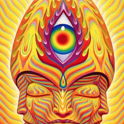 Stream - CoSM - NY - 2015 - Fall Equinox by Birds of Paradise | Listen ... Stream - CoSM - NY - 2015 - Fall Equinox by Birds of Paradise | Listen ...