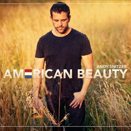 Stream Andy Snitzer by Greg Allen Artists | Listen online for free on ...
