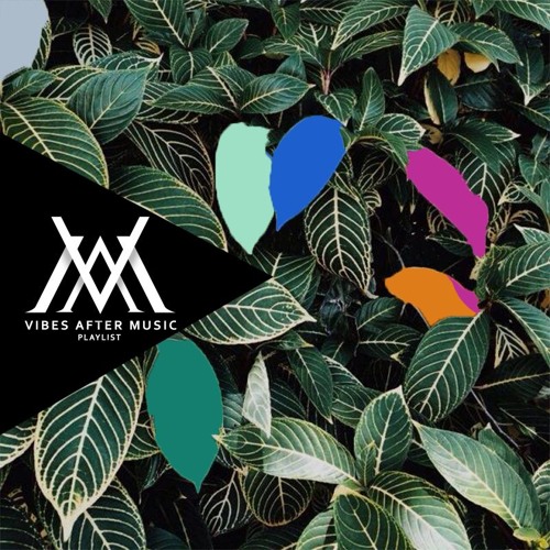 Stream VIBES AFTER MUSIC | Listen to Ranked In Order playlist online ...