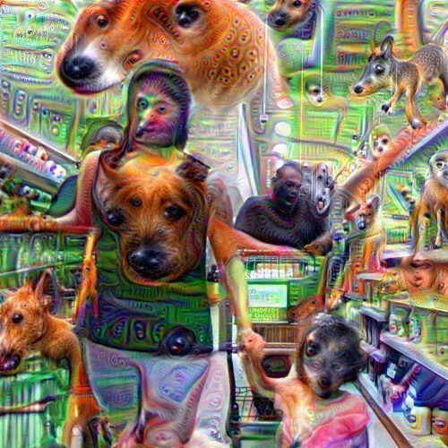 Stream Pouff - Grocery Trip (video link in description) by Pouff ...