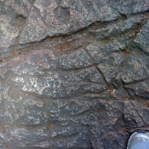 Stream Evolution Of Strings by Bruce Shankle III | Listen online for ...