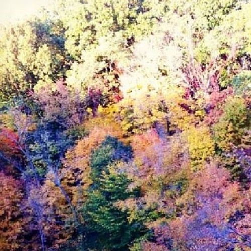 Stream Capsized Island by Expires | Listen online for free on SoundCloud