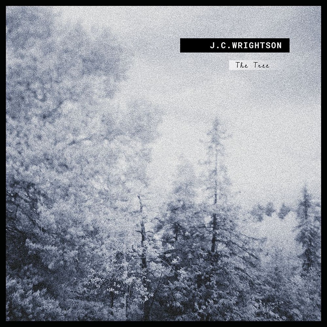 Stream The Tree [SINGLE] by John Christopher Wrightson | Listen online ...
