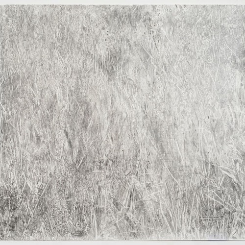 Stream Scott Tuma "Durango" by Immune Recordings | Listen online for ...