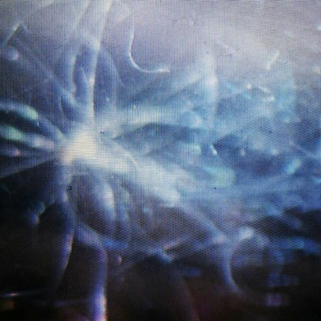 Stream Madi Larson x TRASH LORD ~ NOCTURNE by Madi Larson | Listen ...