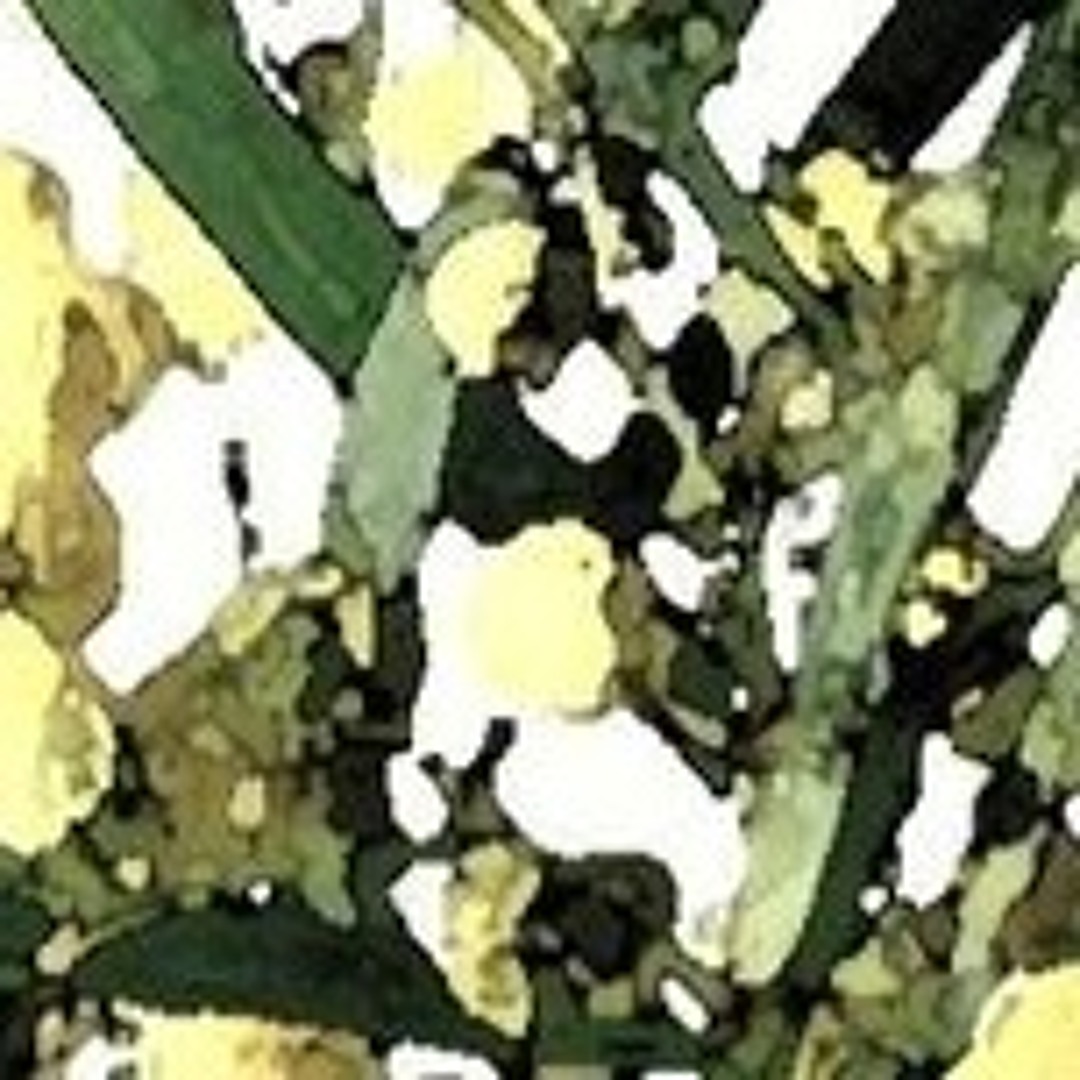 Stream Akacia - for Piano Trio (excerpt) by Andrea Tarrodi - Composer ...